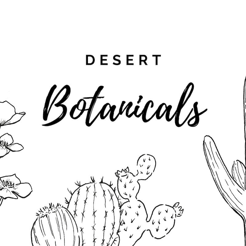 Cactus Clipart Black and White - Etsy