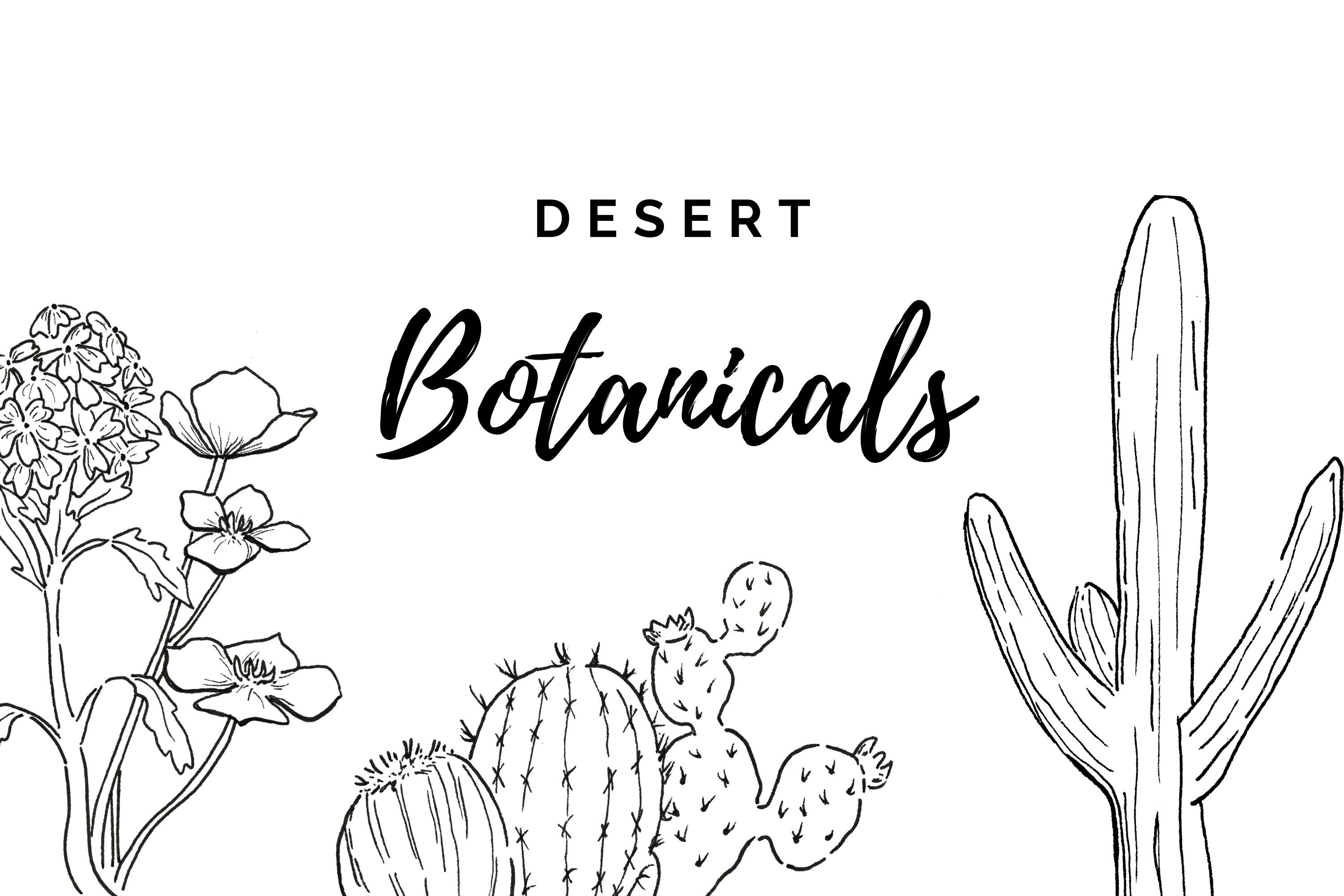 Desert Botanical Clipart Bundle, Cactus Clip Art, Succulent Line Art ...