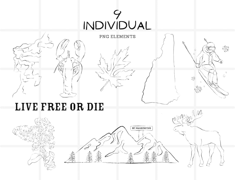 New Hampshire Clipart Bundle, State Outline Sketch, Hand-drawn Line Art ...
