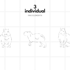 Capybara Clipart Bundle, Hand Drawn Clip Art PNG, Simple Nature Rain ...