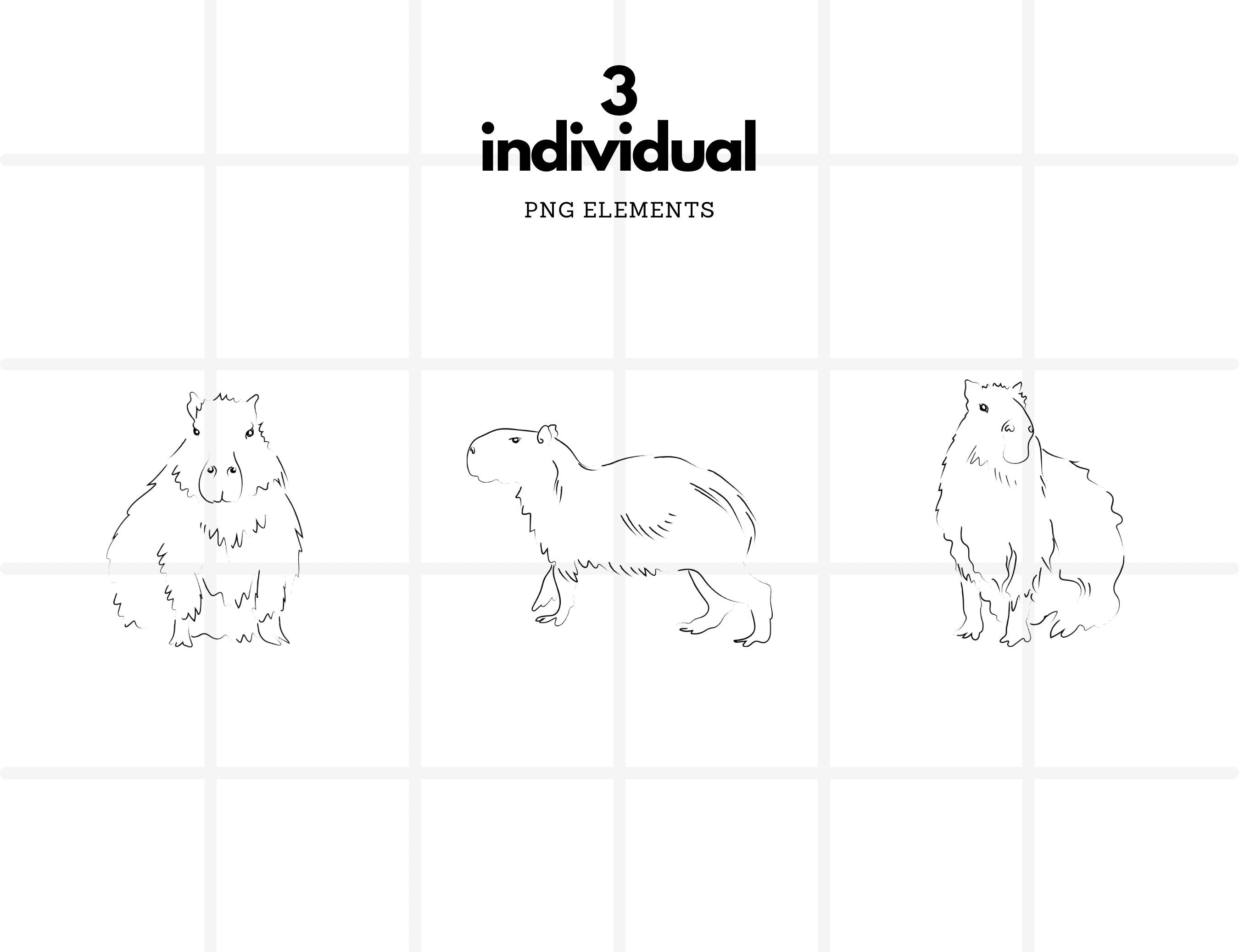 Capybara Clipart Bundle, Rainforest Animal Drawing, Transparent PNG for ...