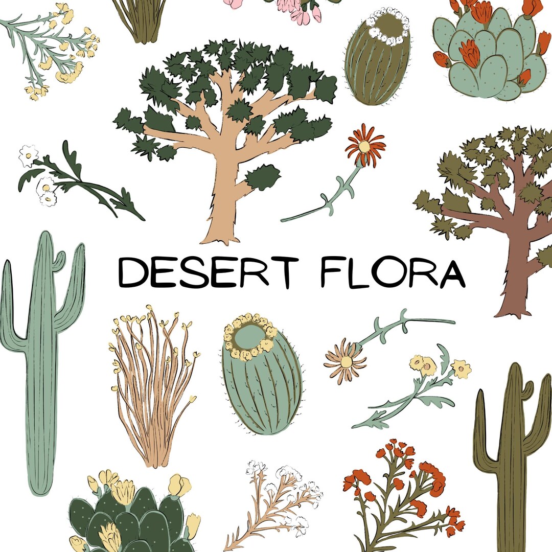 Desert Flora PNG Clipart Bundle, Botanical Hand-drawn Western Drawings ...