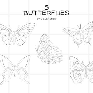 Insect Outline Clipart Bundle, Huge Bug Hand-drawn PNG Images, Spider ...