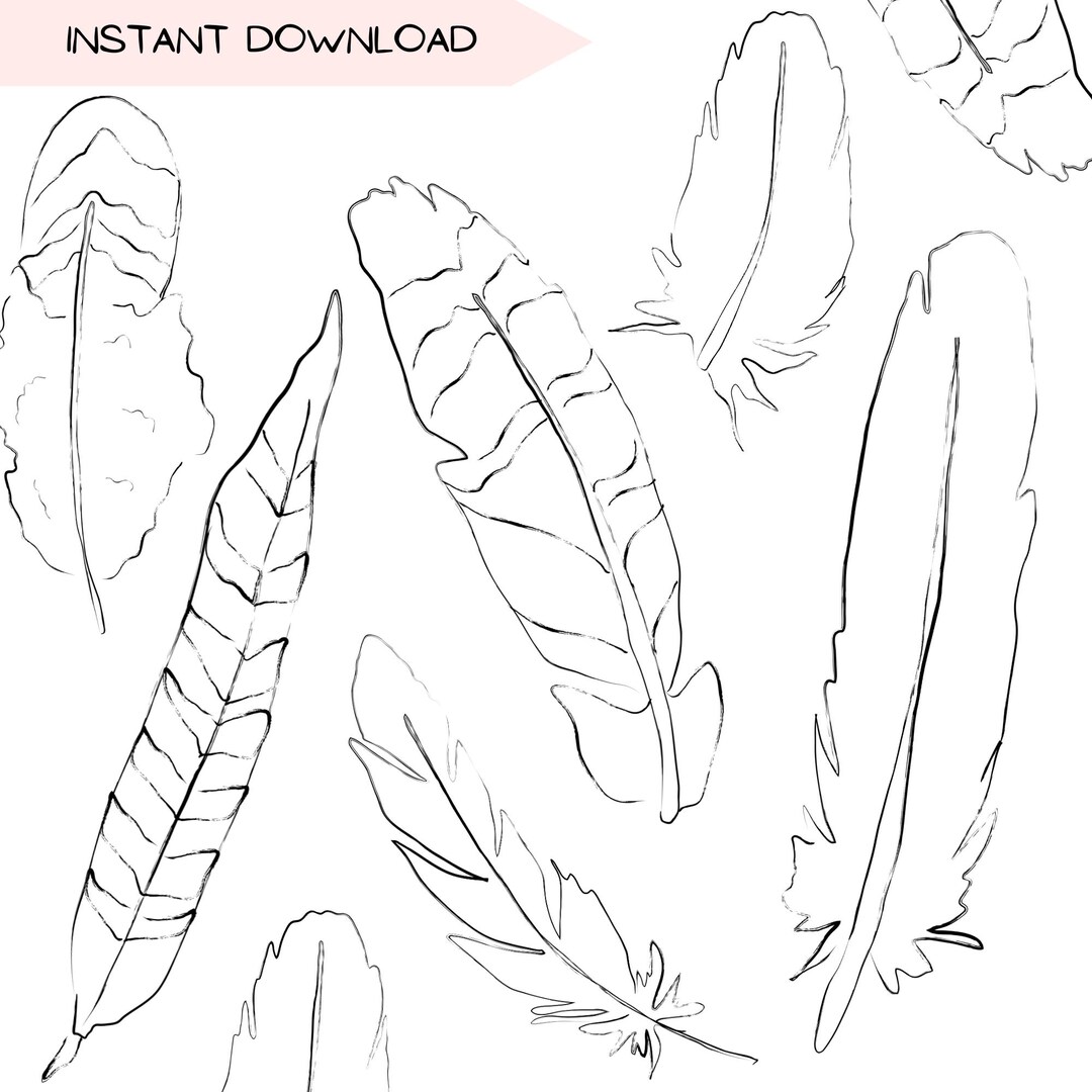 Feather Clipart PNG Set, Hand-drawn Bird Designs, Nature Rustic Clip ...