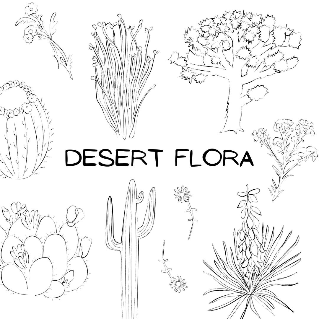 Desert Plants Clipart Bundle, Hand-drawn Botanicals Sketch, Cactus PNG ...
