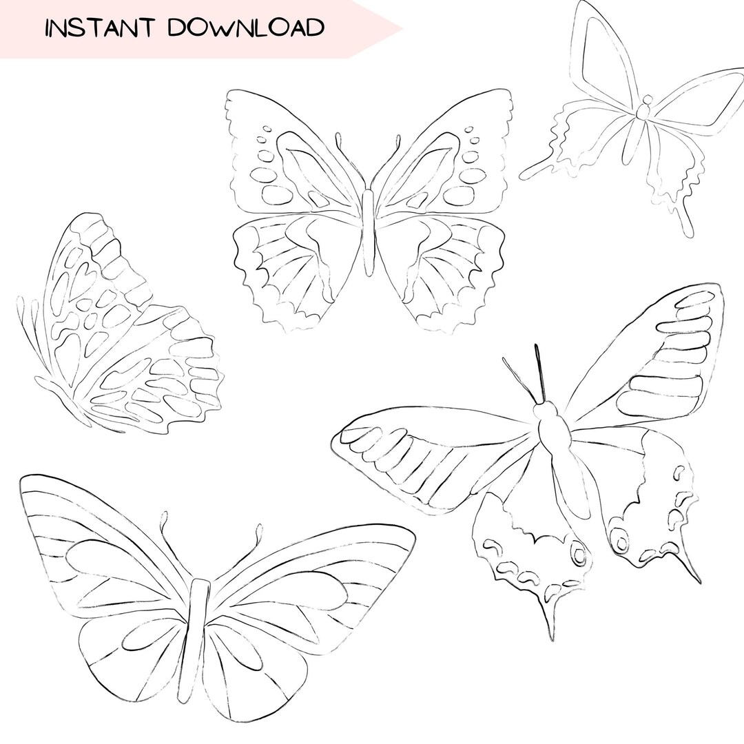Hand Drawn Butterfly Clipart Set, Insect PNG Bundle, Line Art Digital ...