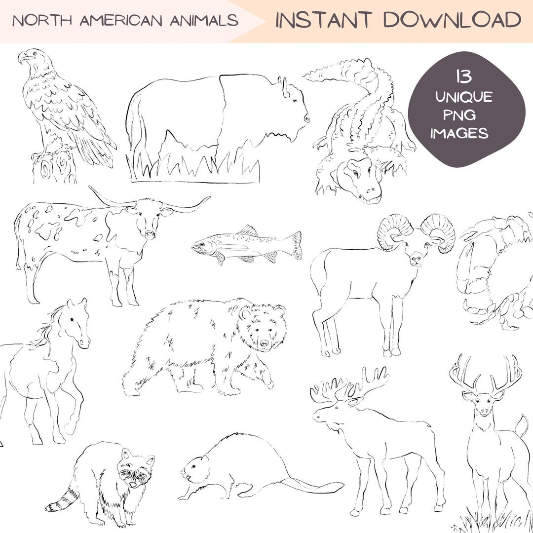 North American Animal Clip Art Bundle, Hand Drawn Nature PNG ...