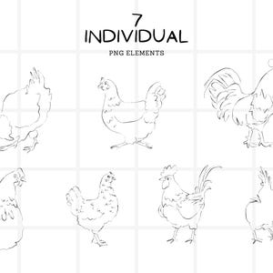 Chicken Line Art Clipart Bundle, Farmhouse Wall Art Printable, Hand ...