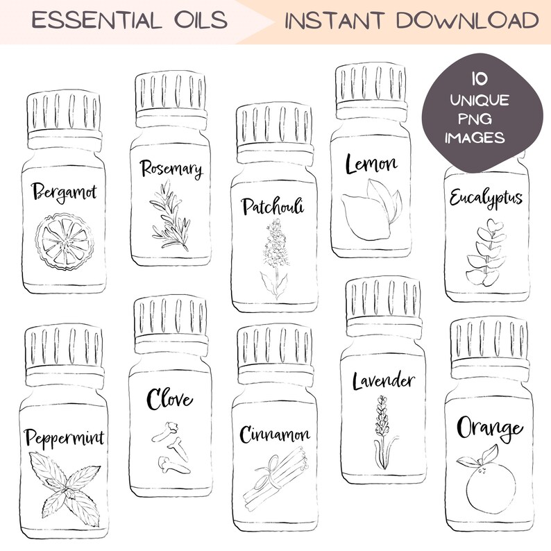 Essential Oils Clip Art Bundle, Hand-drawn Bottles PNG Images, Bergamot ...