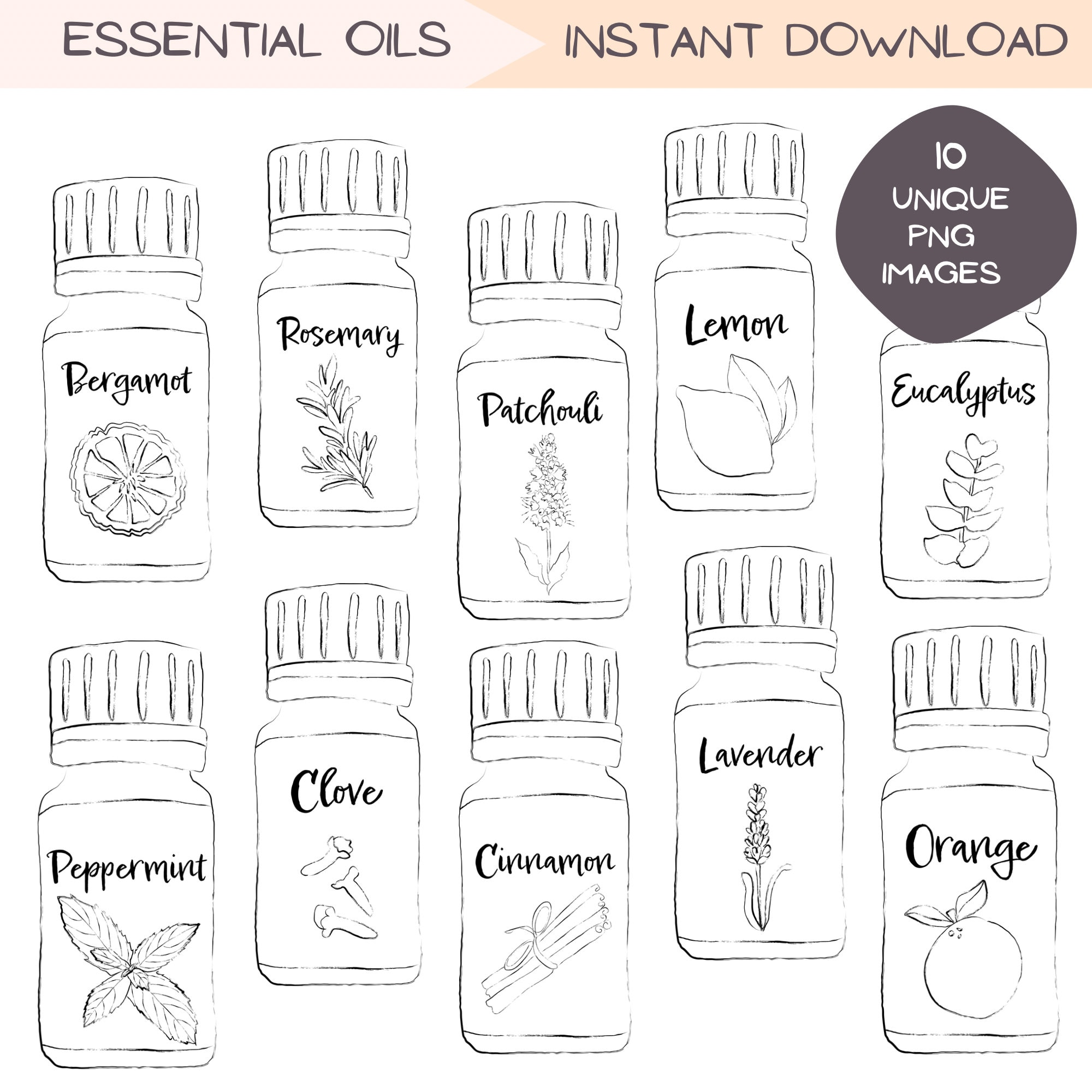 Essential Oils Clip Art Bundle, Hand-drawn Bottles PNG Images, Bergamot ...