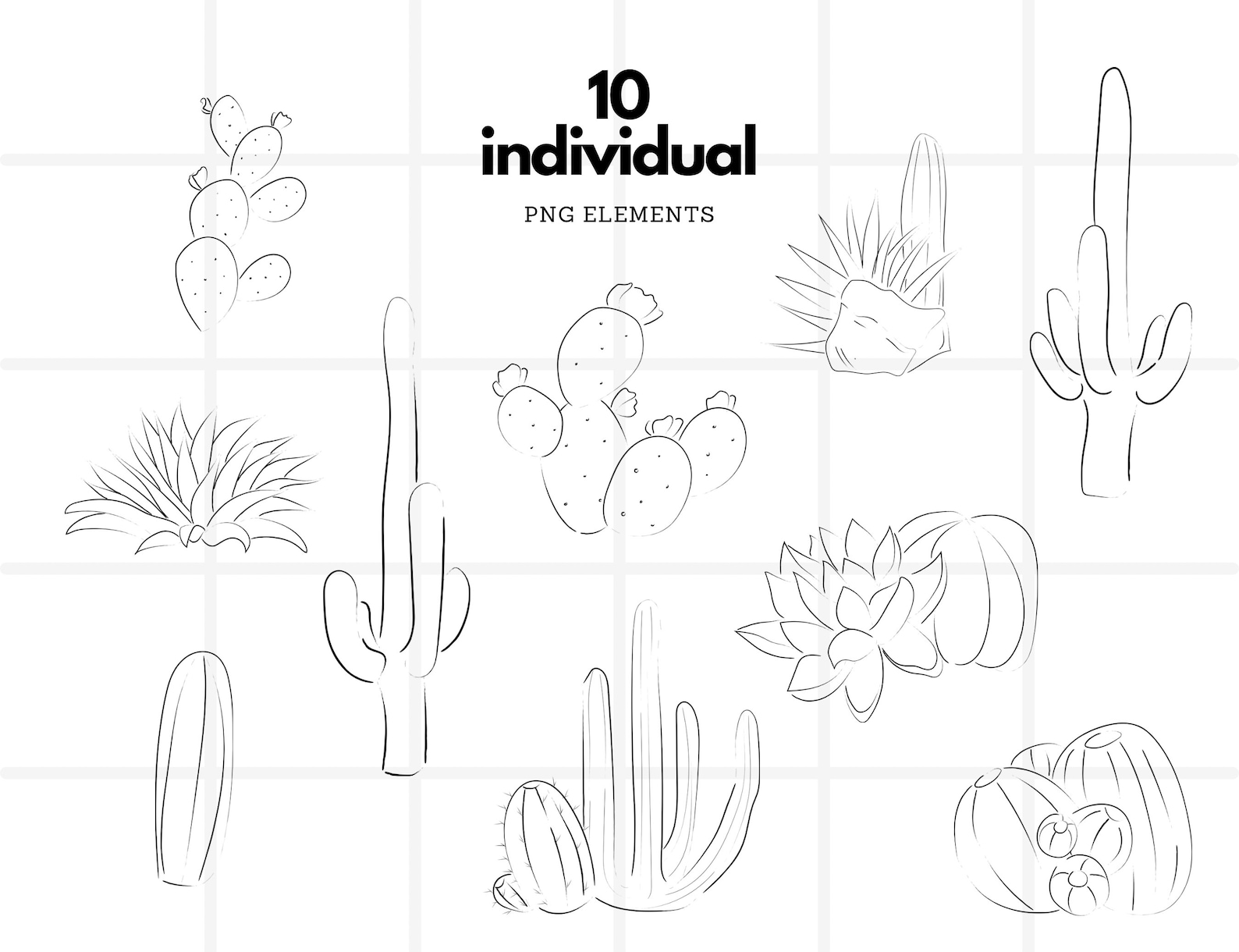 Desert Botanical Clipart Bundle, Cactus Clip Art, Succulent Line Art ...