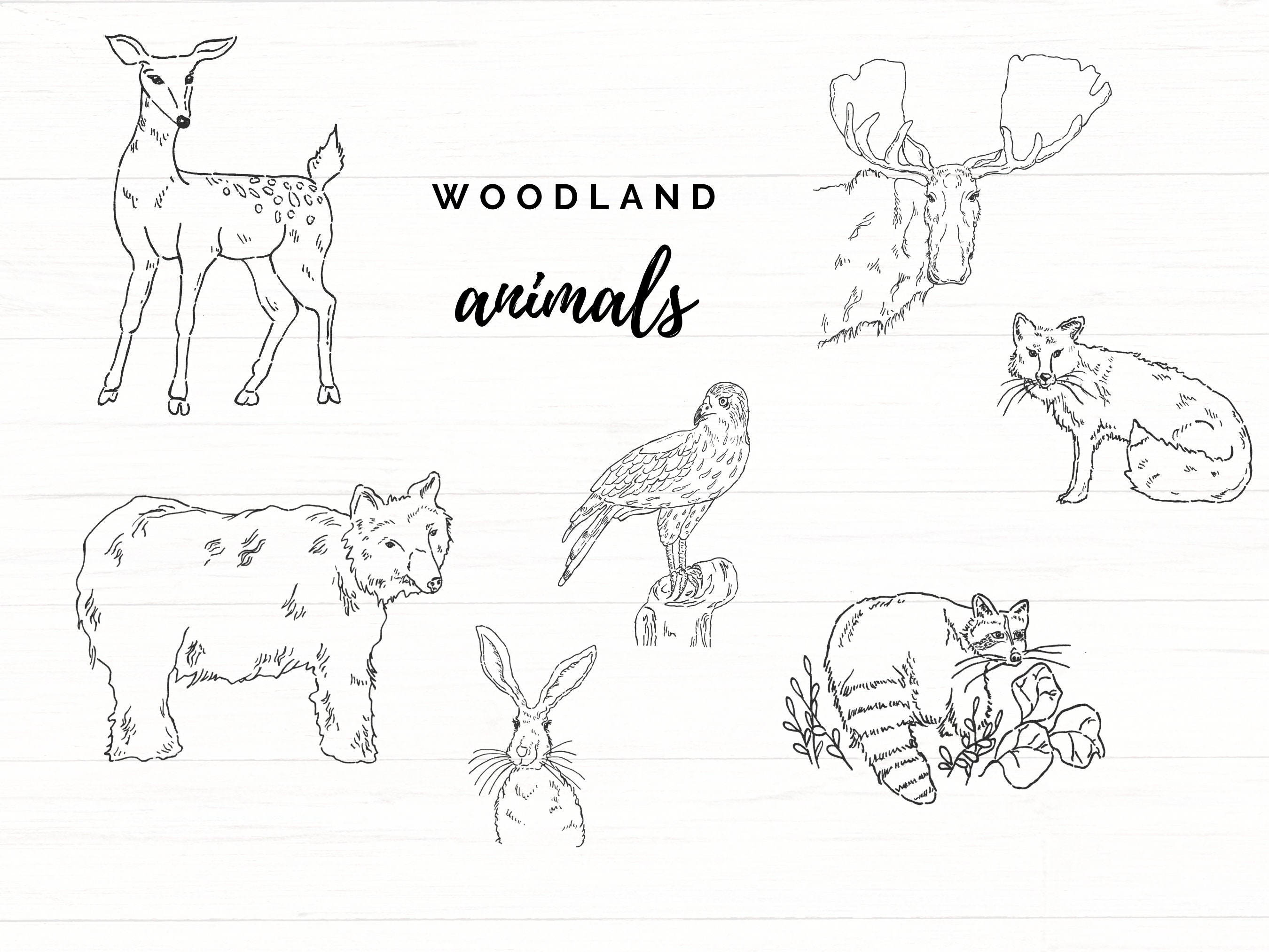Woodland Animals Clip Art Black And White