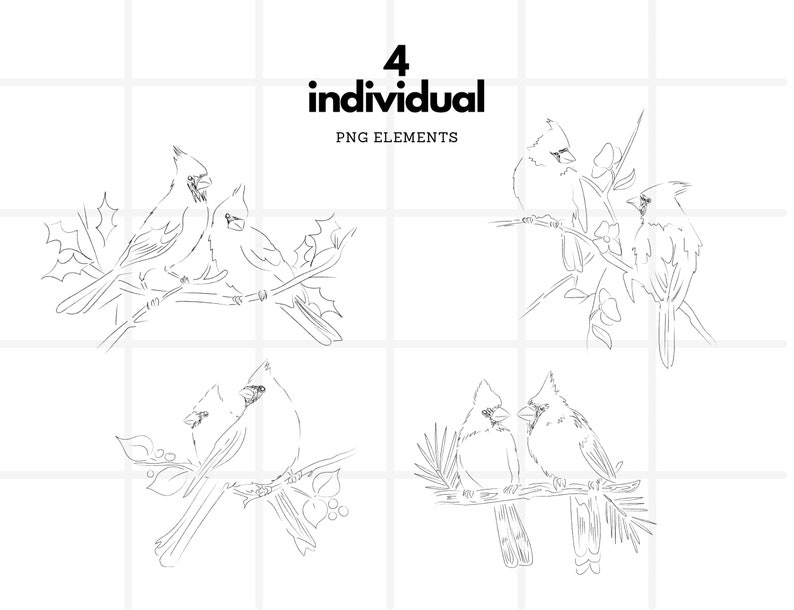 Cardinal Clip Art Bundle, Simple Winter Nature Line Art Clipart, Bird ...