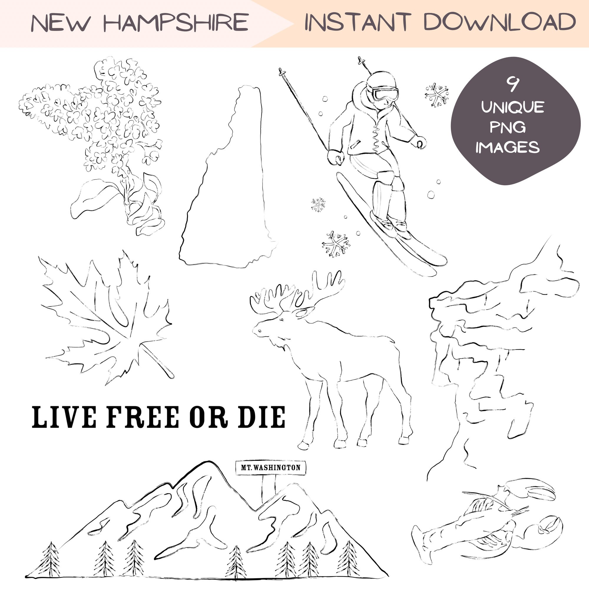 New Hampshire Clipart Bundle, State Outline Sketch, Hand-drawn Line Art ...