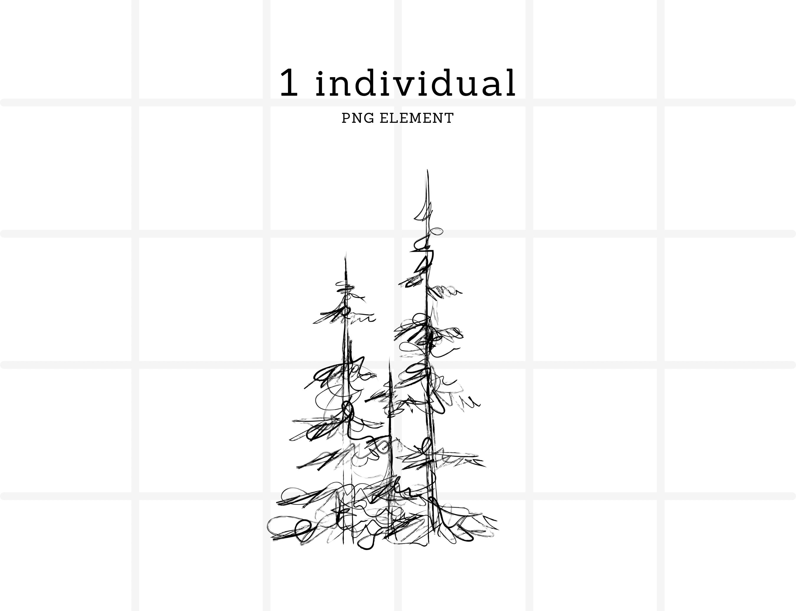 Pine Tree Scribble Sketch Clipart, Hand-drawn Forest Transparent PNG ...