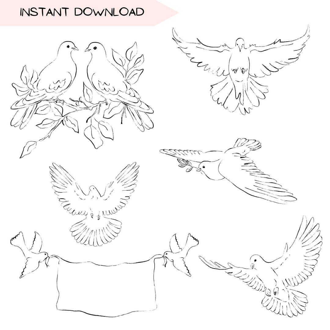 Wedding Dove Clipart PNG | Romantic Lovebird Graphics for Invitations ...