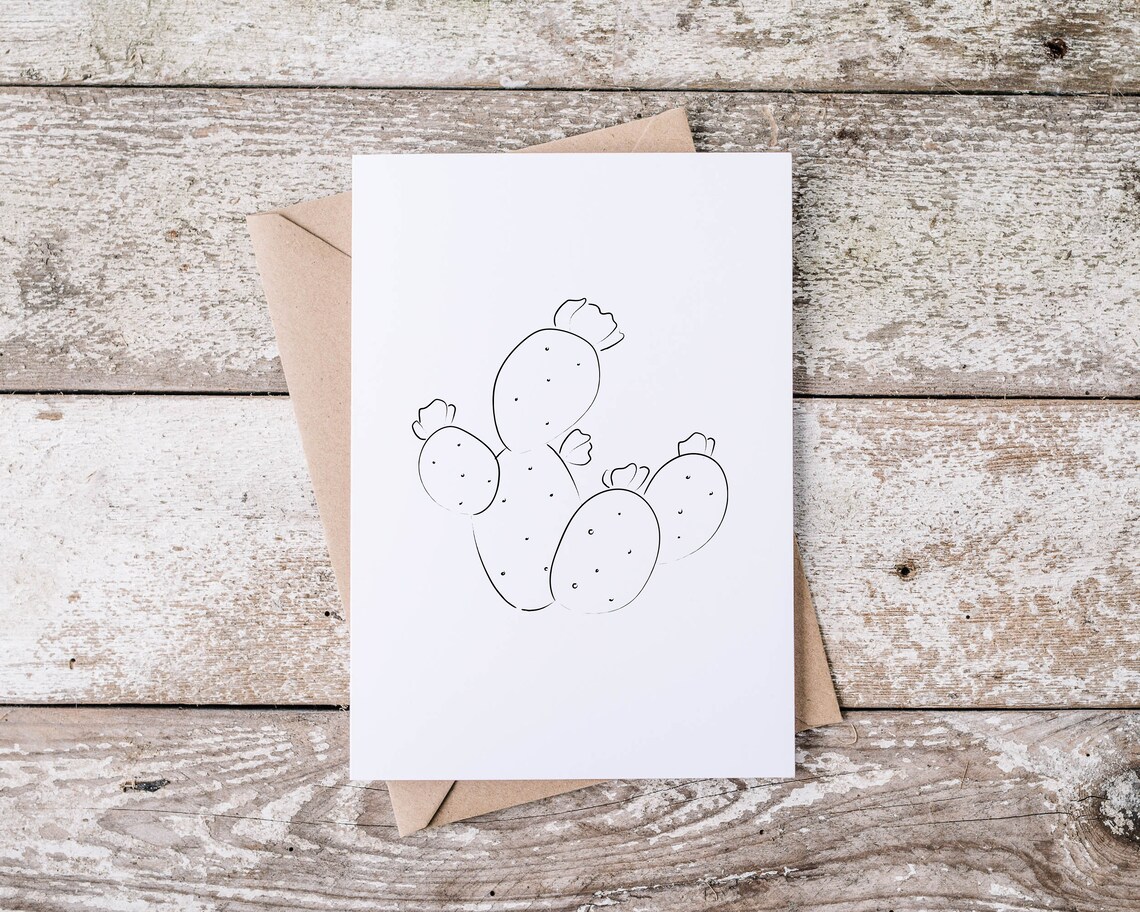 Desert Botanical Clipart Bundle, Cactus Clip Art, Succulent Line Art ...