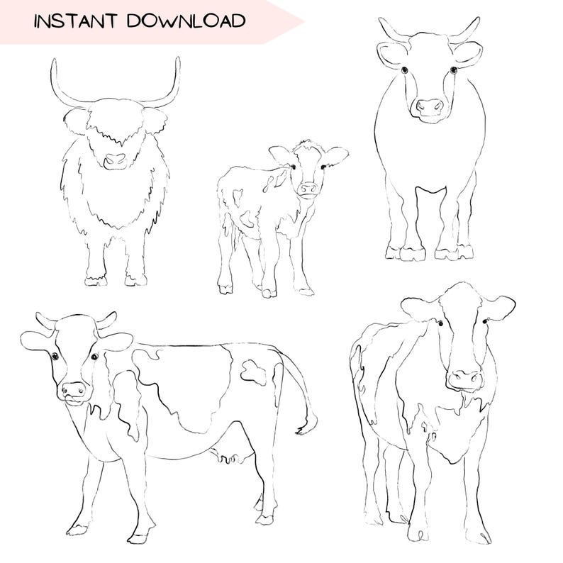 Cow PNG Clipart Bundle, Hand-drawn Farm Animal Designs, Milk Cow Sketch ...