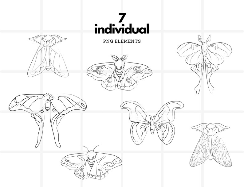 Moth Clipart Bundle, Hand-drawn Insect Sketch PNG Graphic, Nature ...