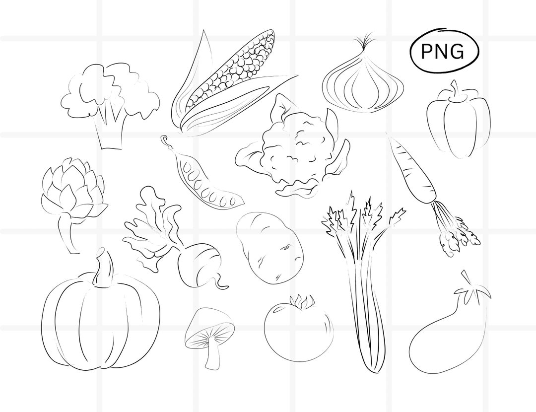 Vegetable Line Art Clipart Bundle, Simple Sketched Food Clip Art, Hand ...