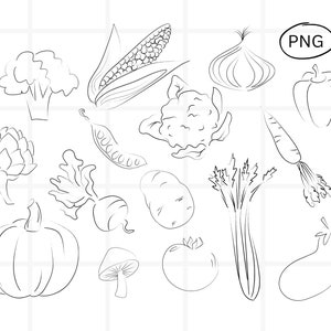 Vegetable Line Art Clipart Bundle, Simple Sketched Food Clip Art, Hand ...