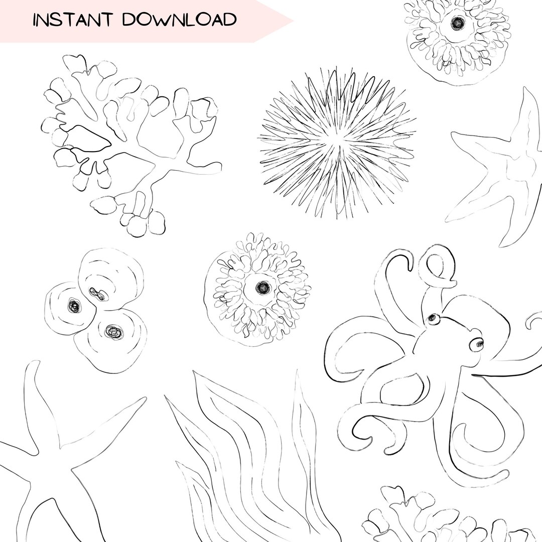 Tide Pool Clip Art, Sea Star Animal Drawing, Kelp Hand Drawn Sketch ...