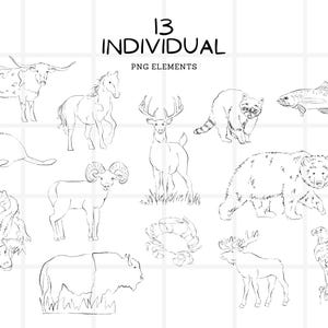 North American Animal Clip Art Bundle, Hand Drawn Nature PNG ...