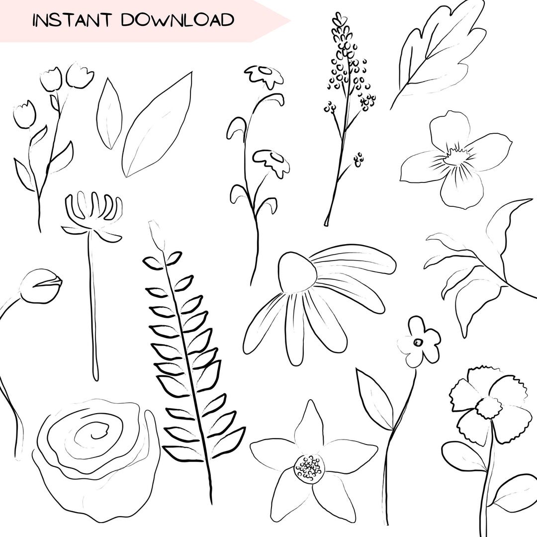 Ink Wildflower Line Art Clipart Bundle: Floral Sketch PNG (digital ...