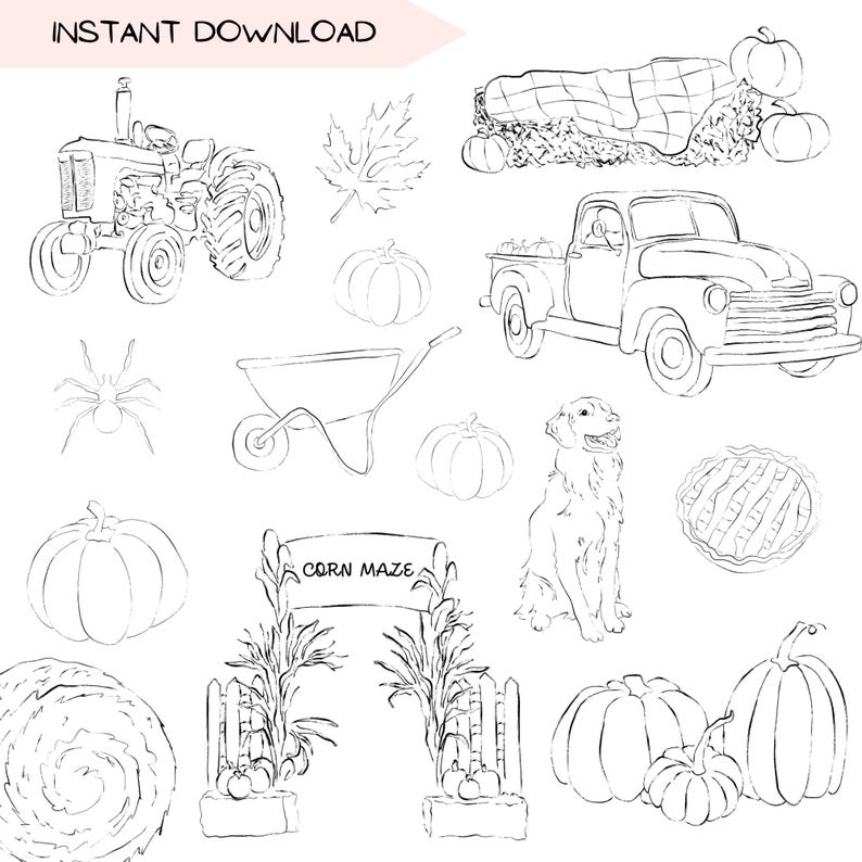 Pumpkin Patch Clipart Bundle, Hand-drawn Fall Illustrations, Rustic ...