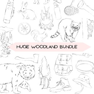 Woodland Camping Clipart Bundle, Forest Animals Hand-drawn Line Art ...