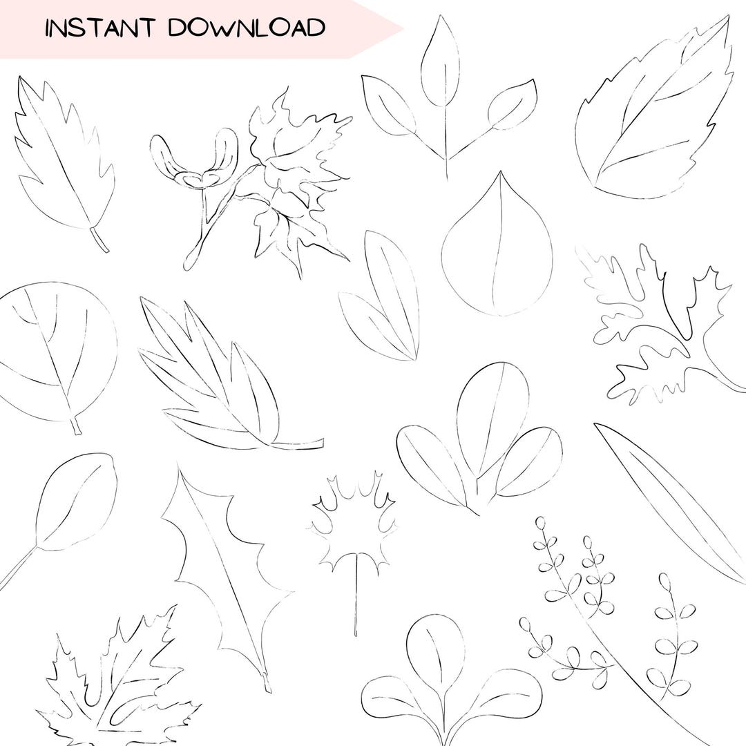 Fall Leaves Botanical Clip Art Bundle, Hand Drawn Nature PNG ...
