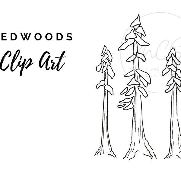 Pnw Forest Svg - Etsy