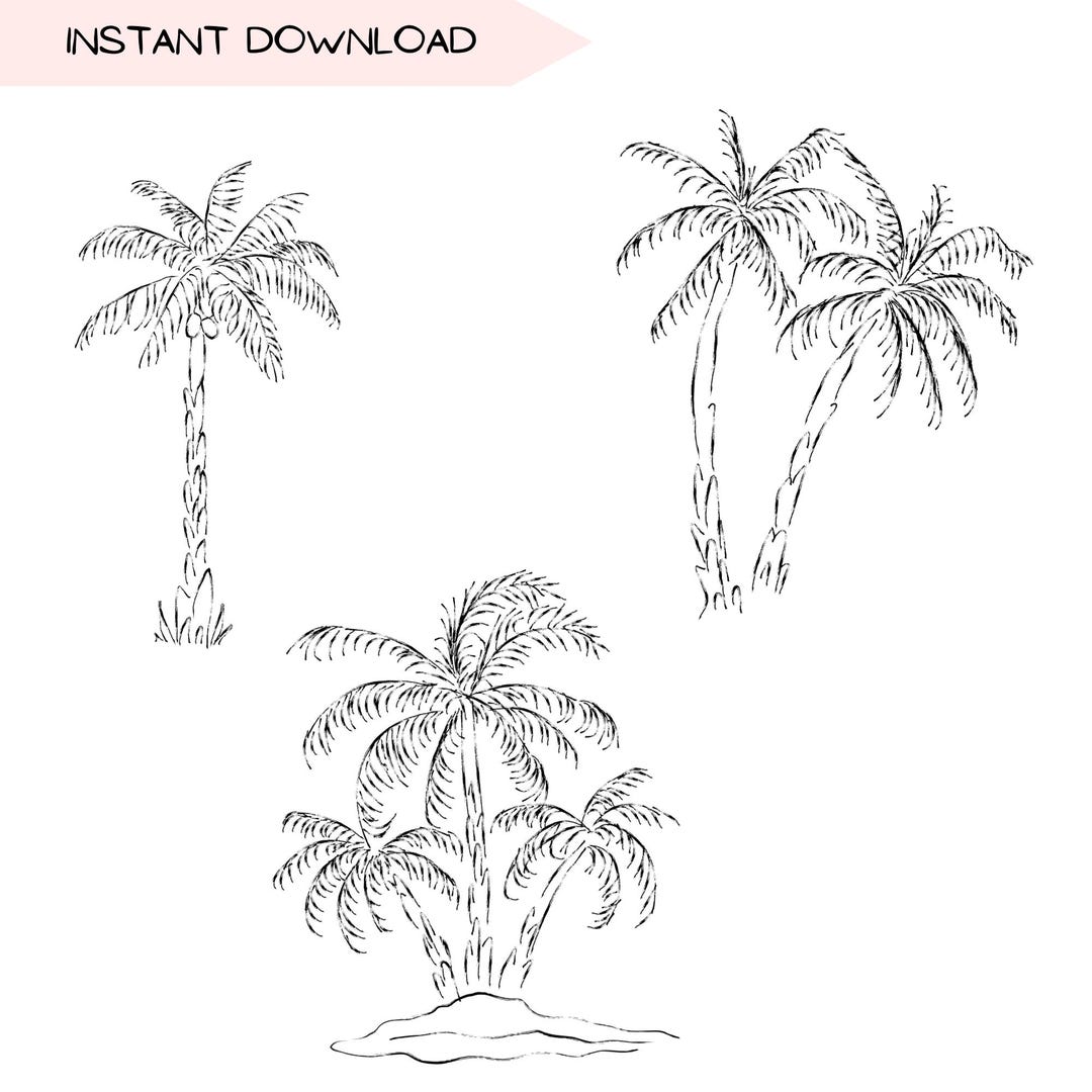 Palm Tree Line Art Clipart, Hand-drawn Tropical Beach PNG, Digital ...