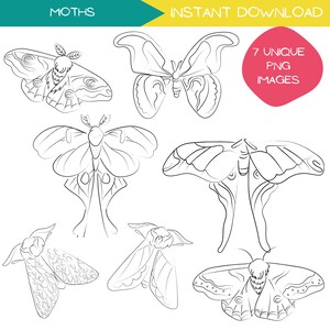 Moth Clipart Bundle, Hand-drawn Insect Sketch PNG Graphic, Nature ...