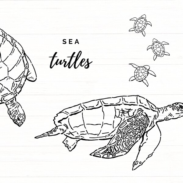 Sea Turtle Clipart Black and White - Etsy