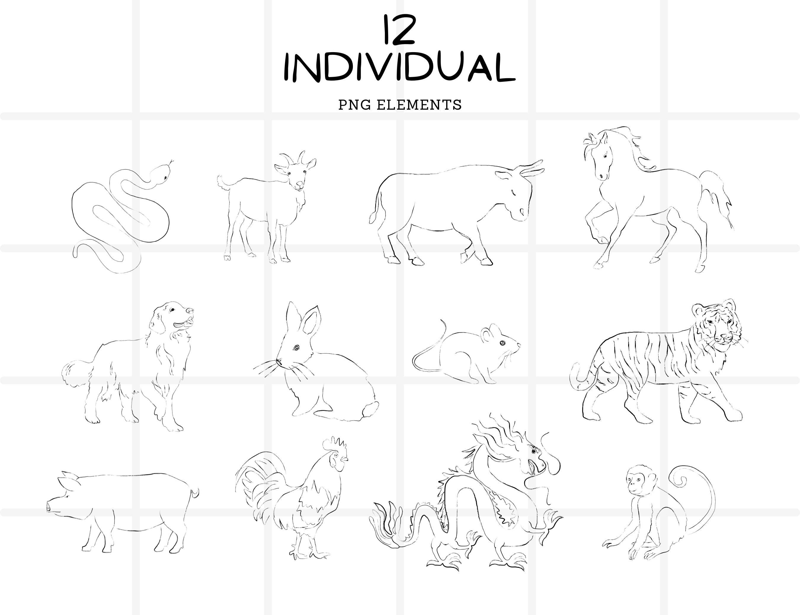 Chinese Zodiac Clip Art Bundle, Hand-drawn PNG Animal Illustrations ...