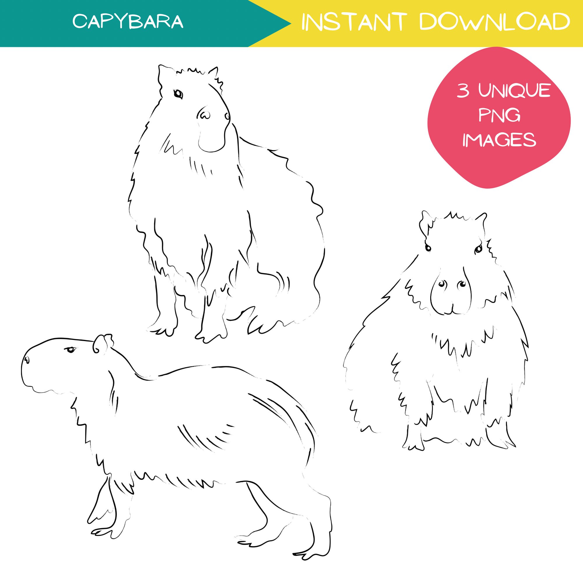 Capybara Clipart Bundle Hand Drawn Clip Art Simple Nature - Etsy