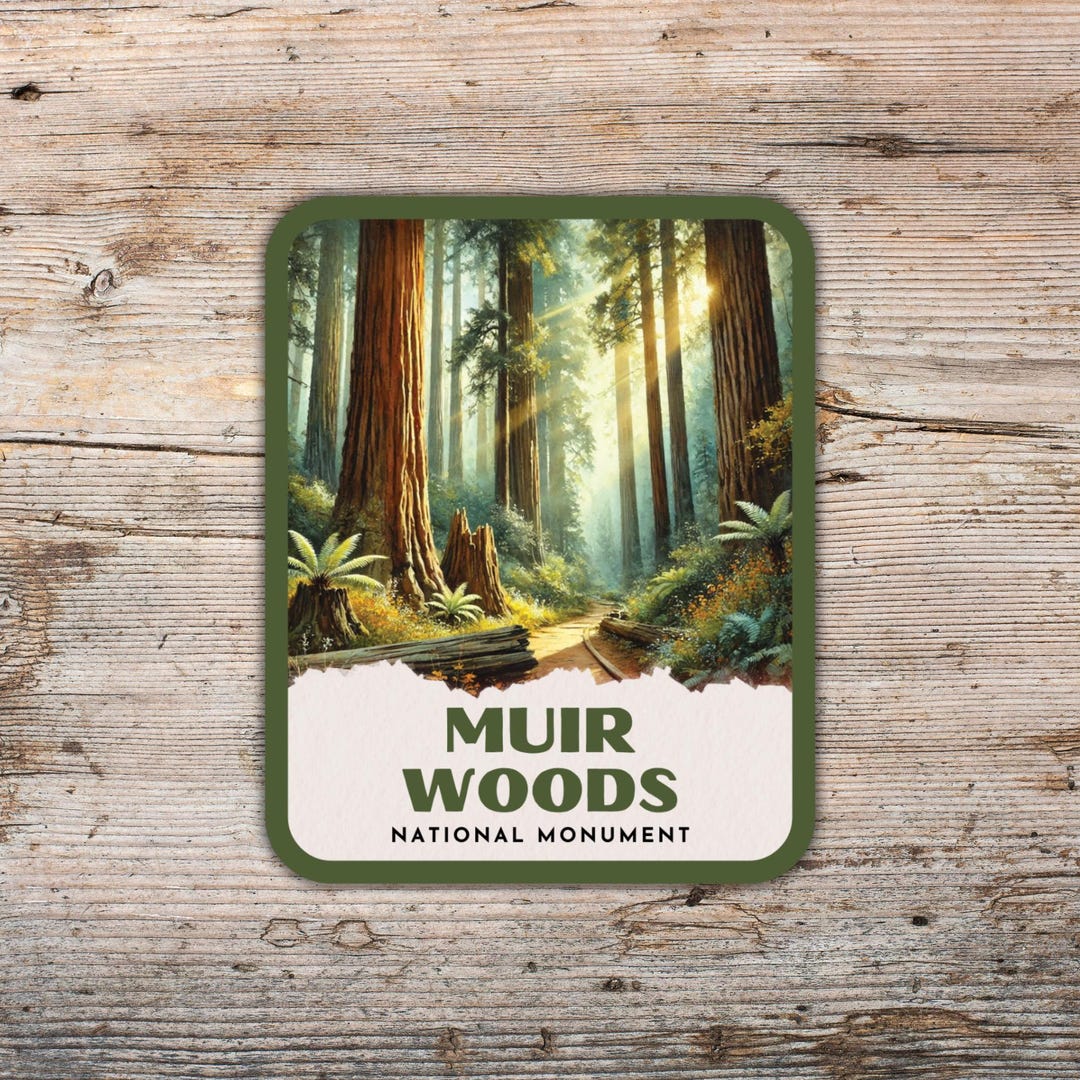 Muir Woods National Monument Retro Watercolor Sticker, Laptop Sticker ...