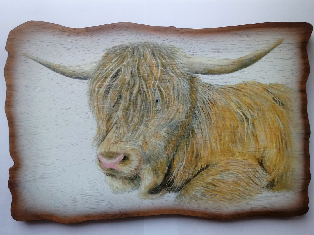 Hamish the Highland Cow Wall Plaque - Etsy UK