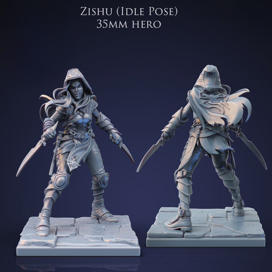 Zishu the Rogue Dark Elf Rogue 3D Model STL Stealthy Fantasy Assassin ...