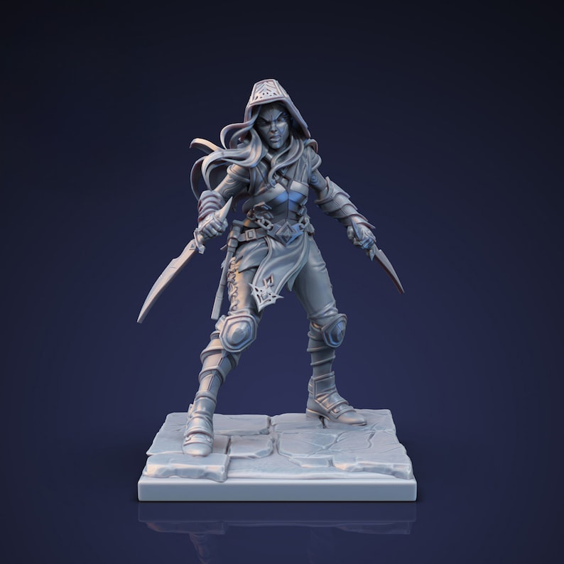 Zishu the Rogue Dark Elf Rogue 3D Model STL Stealthy Fantasy Assassin ...