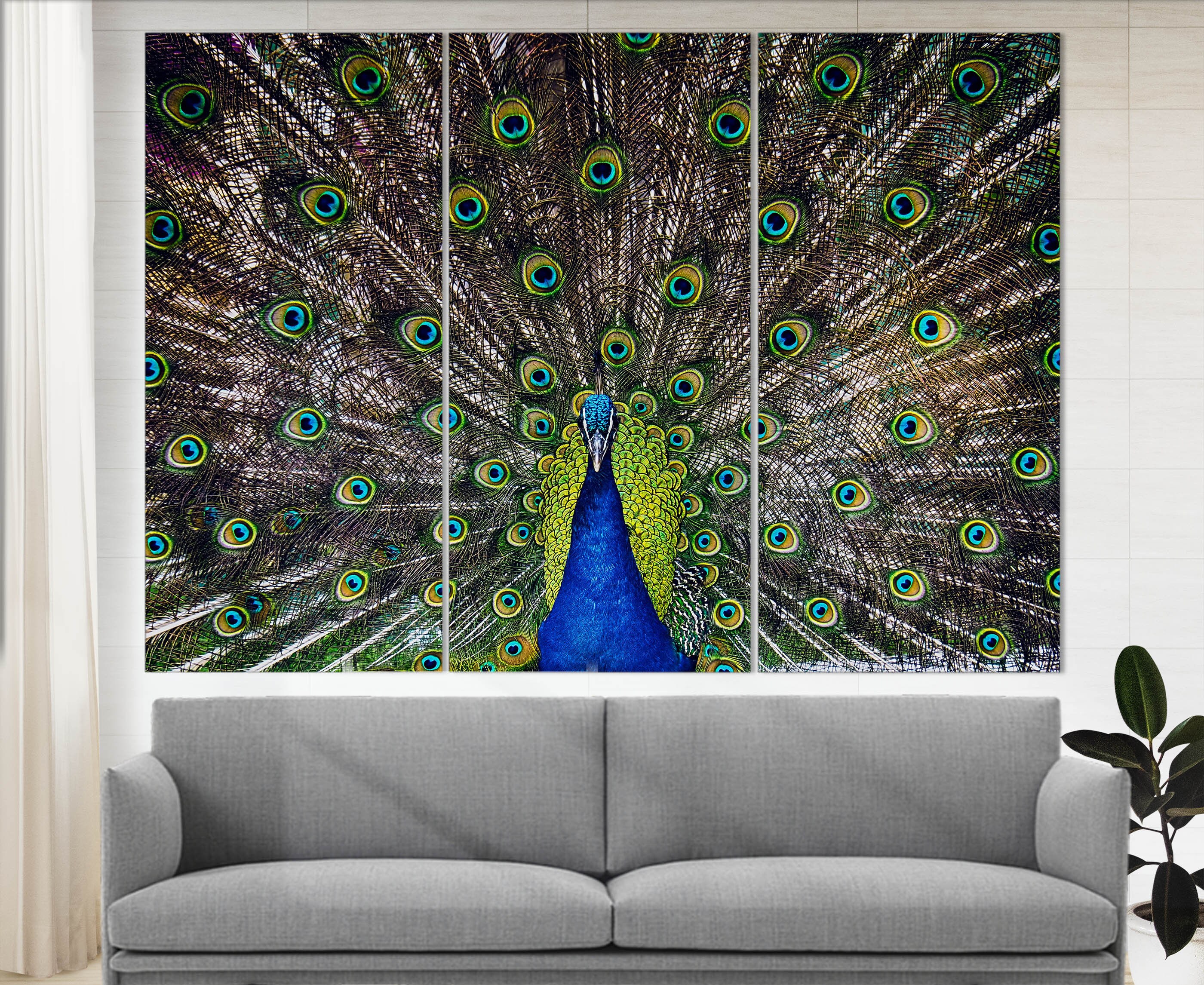 Peacock Canvas Print Peacock Print Abstract Canvas Art | Etsy