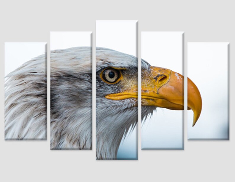 American Bald Eagle Canvas Art Eagle Print Eagle Poster | Etsy