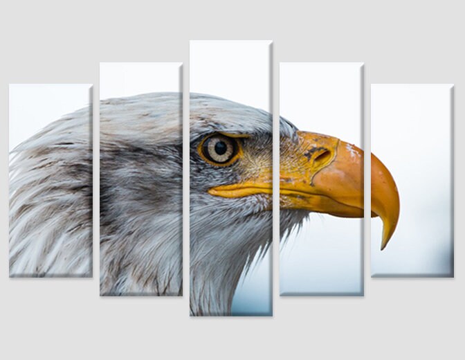 American Bald Eagle Canvas Art Eagle Print Eagle Poster - Etsy