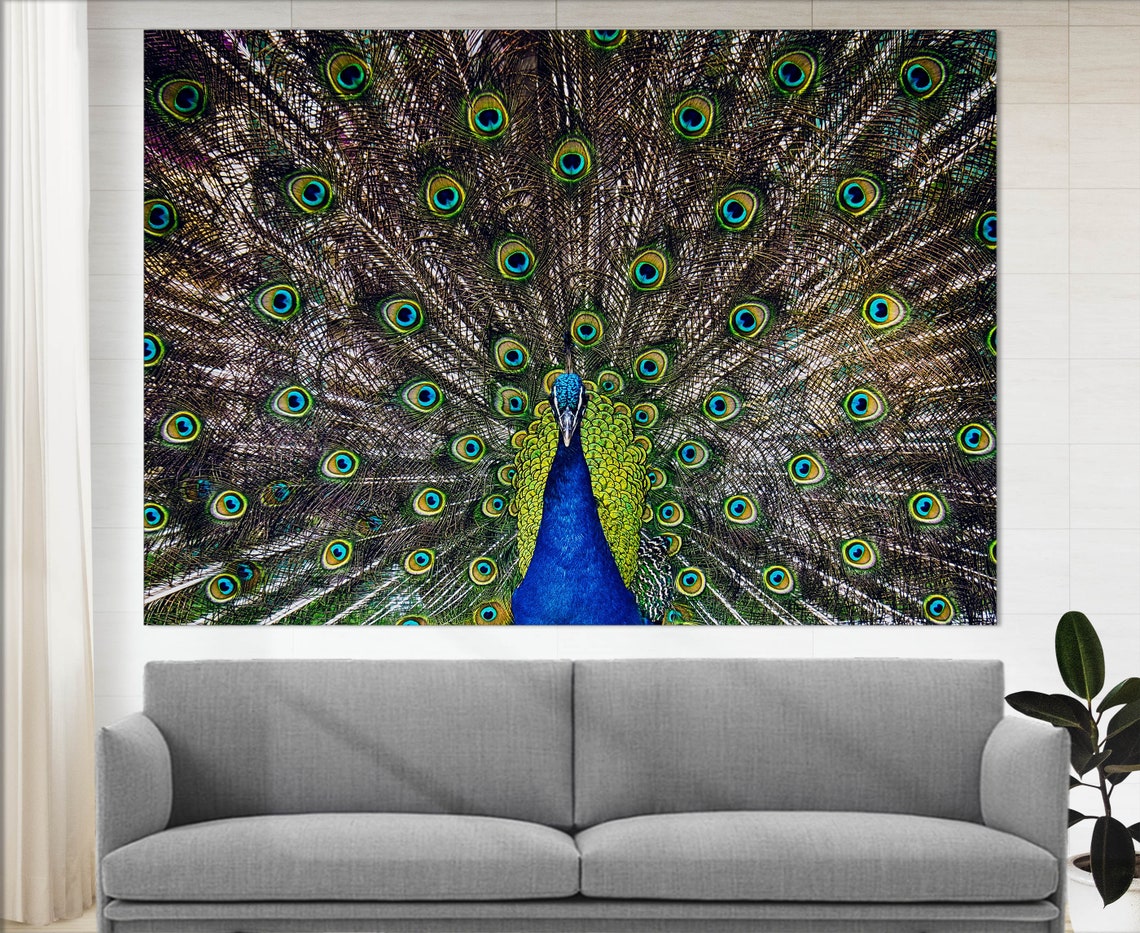 Peacock Canvas Print Peacock Print Abstract Canvas Art | Etsy