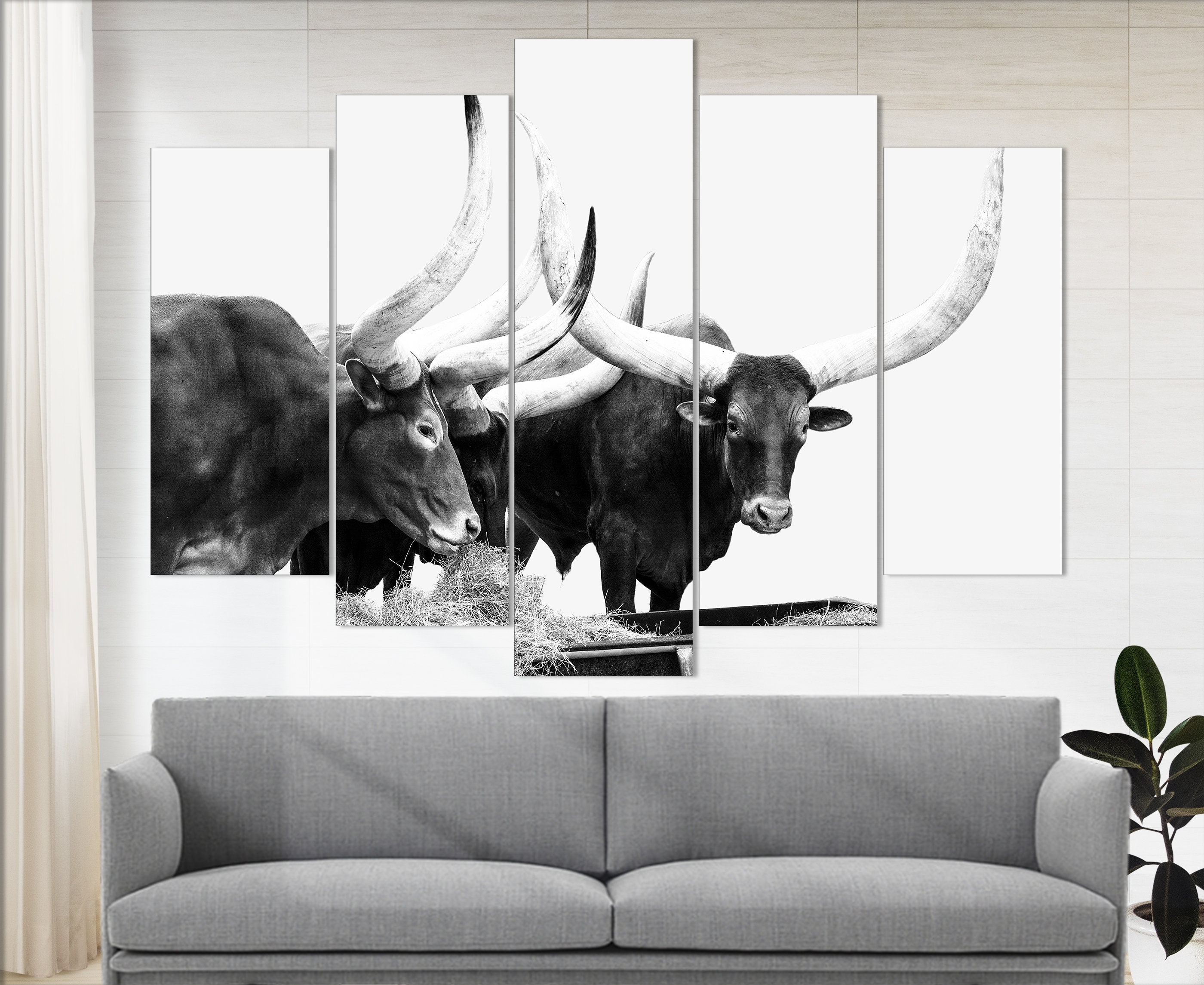Texas Longhorn Canvas Print Texas Cattle Canvas Art Longhorn | Etsy