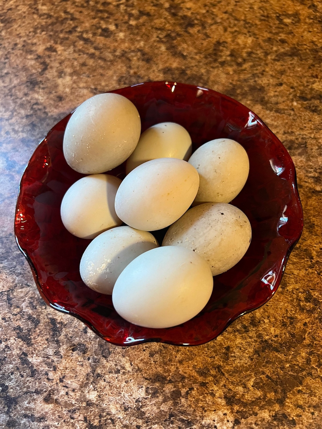 6 Fertilized CALL DUCK Eggs Free Range, Unwashed for Hatching - Etsy