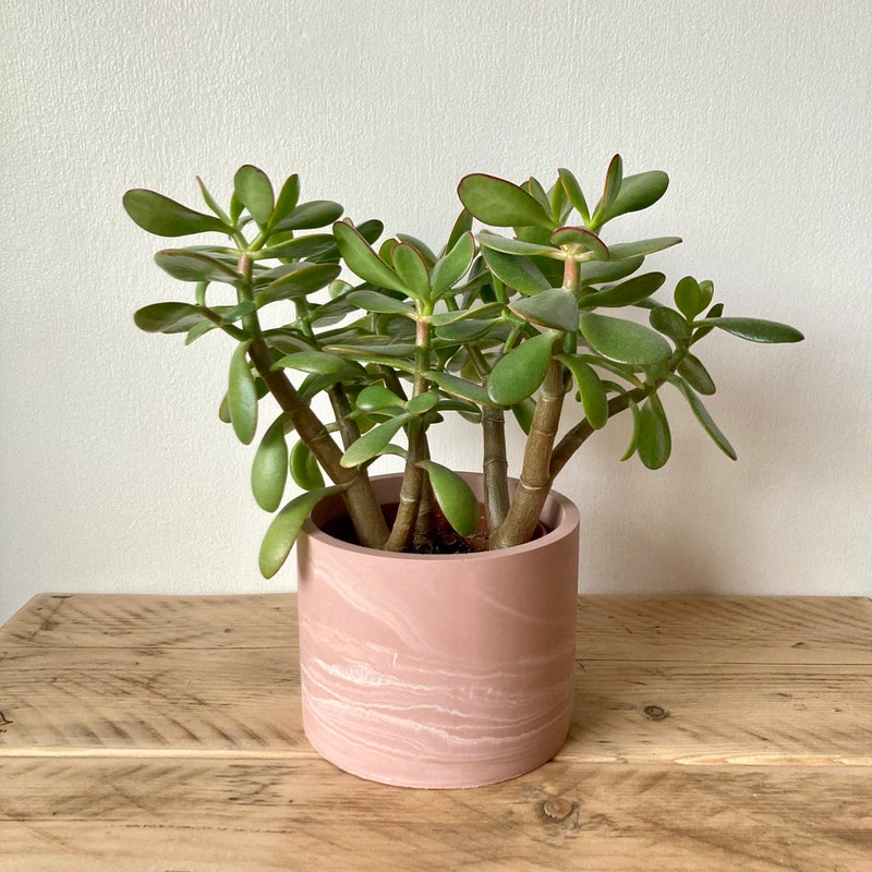 Pink Plant Pot - Etsy UK