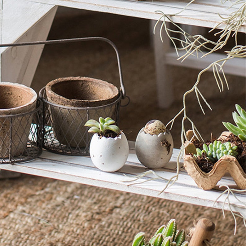 Mini Eggshell Flowerpot Mold-egg Shell Pot Silicone Concrete - Etsy