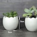 Mini Eggshell Flowerpot Mold-egg Shell Pot Silicone Concrete - Etsy
